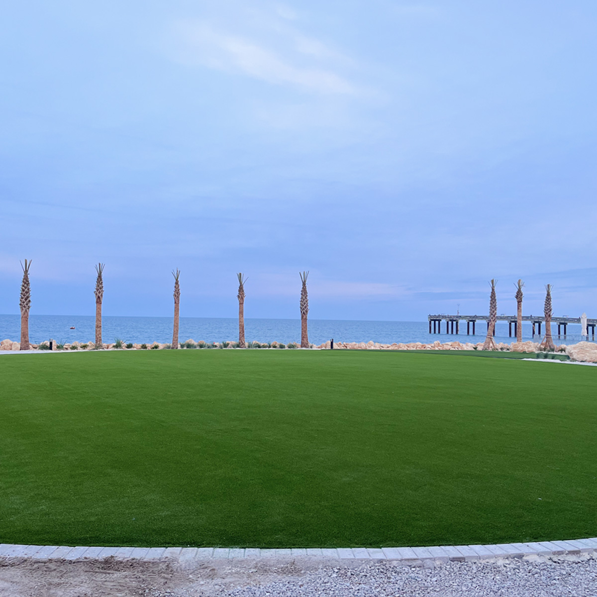 AST Epic Max Turf: A Green Dream Come True - Customer Review from Carl ...