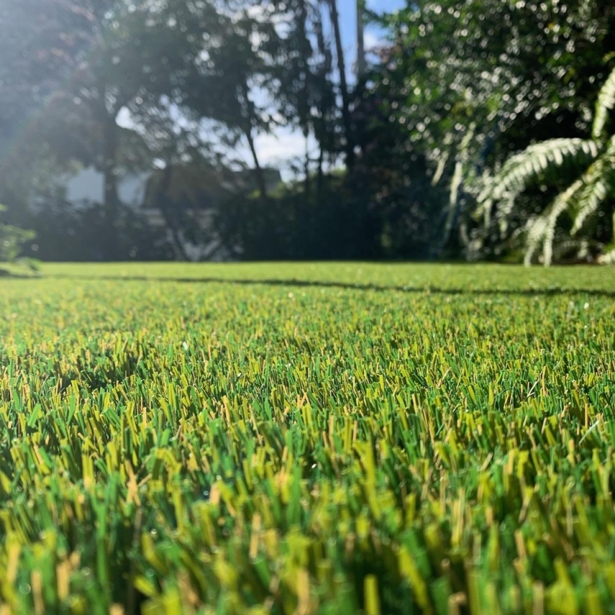 Epic XL synthetic turf Installation - Turf, Made in the USA